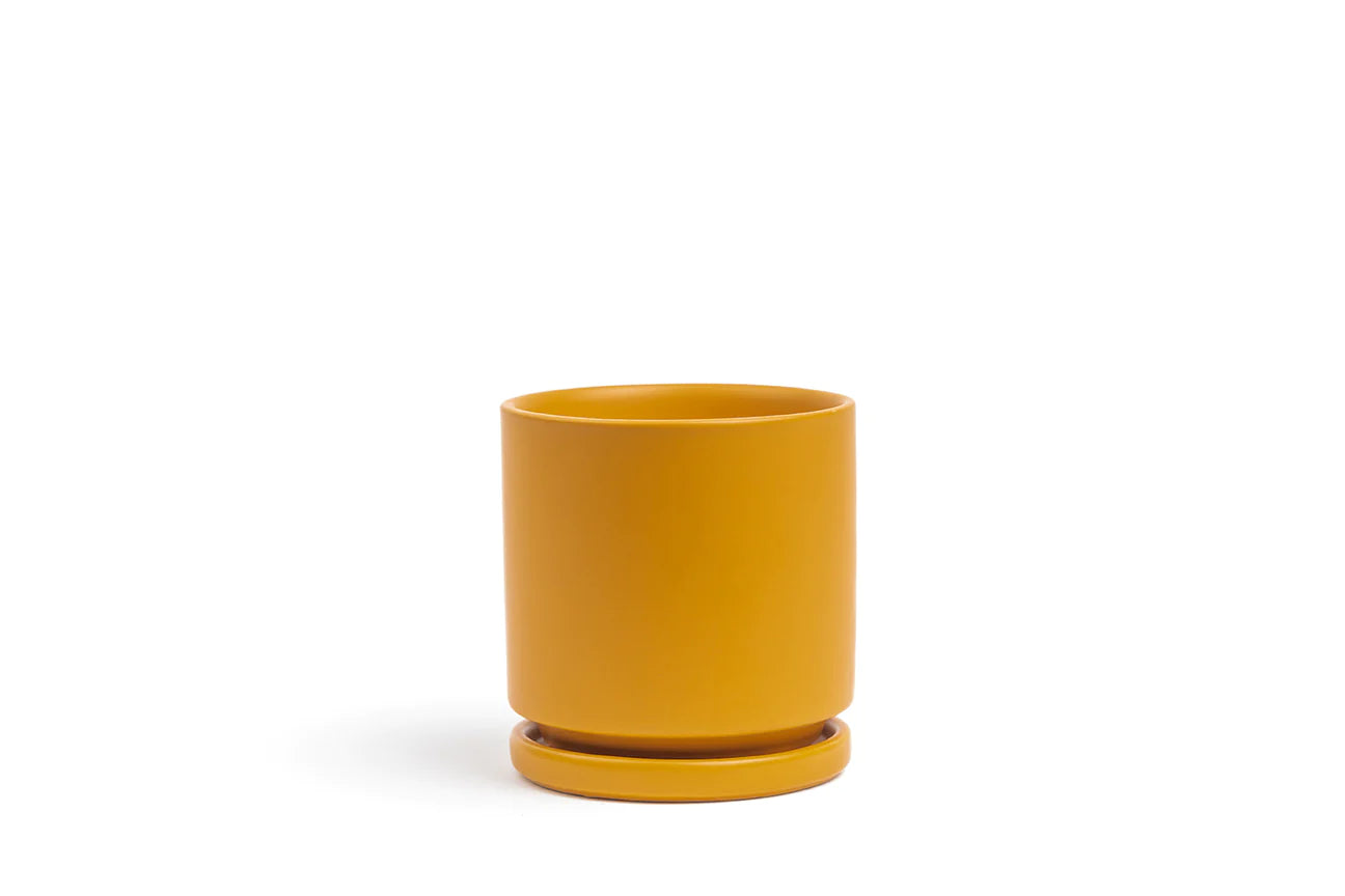 Momma Pots Gemstone Cylinder - 4" – Plant Vault